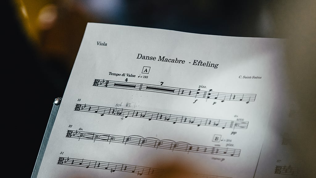 Danse Macabre - Efteling